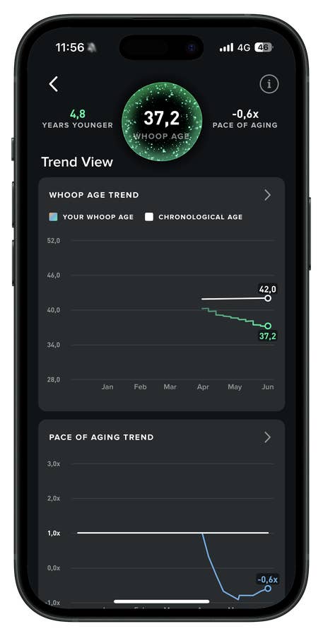 Test du Whoop MG : le dispositif portable le plus ingénieux pour votre ...